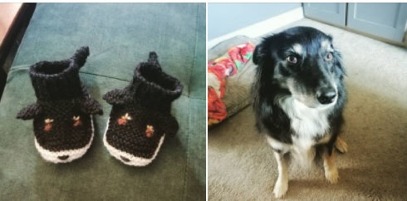 Hand Knitted Puppy Booties - Etsy