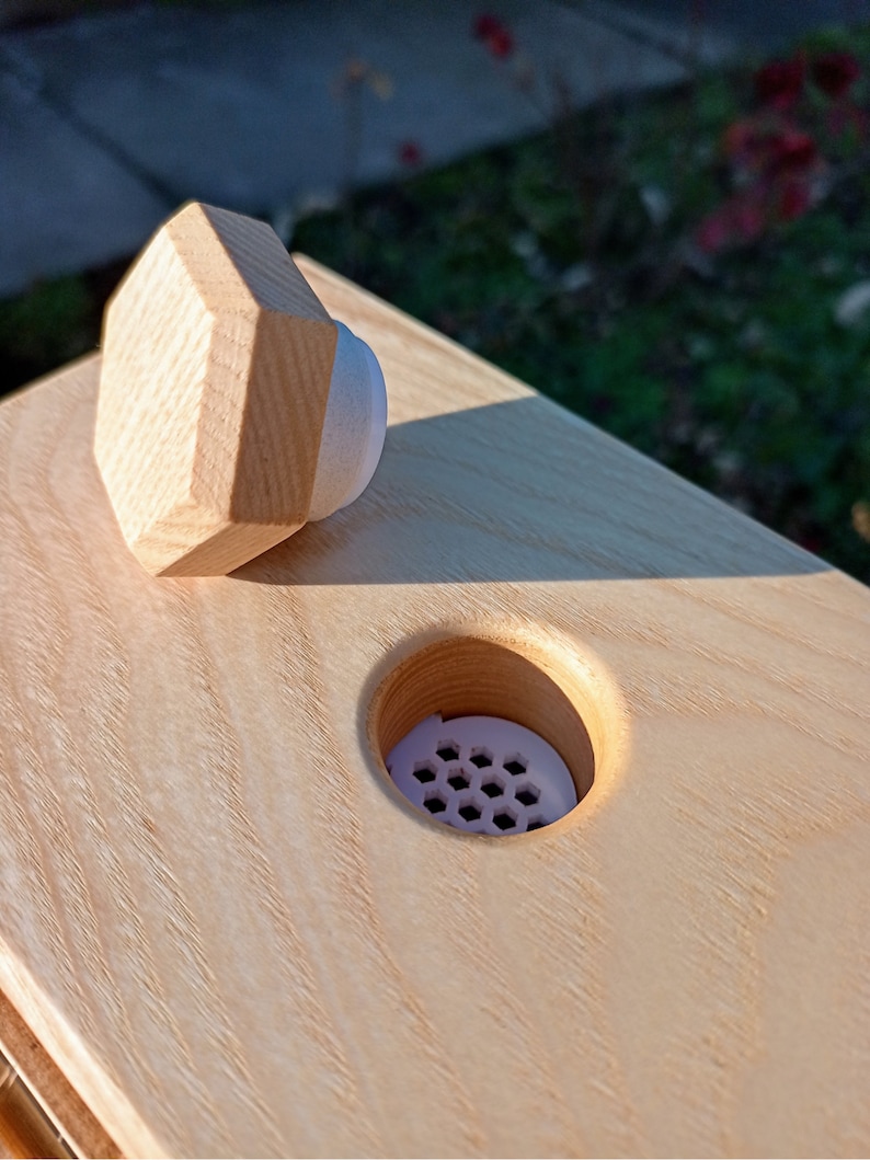 Observation Hive, 4-frame Nuc Apiary Bee Hive for Classroom, Urban ...
