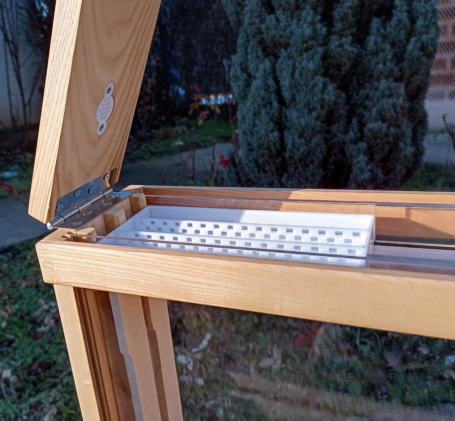 Observation Hive, 4-frame Nuc Apiary Bee Hive for Classroom, Urban ...