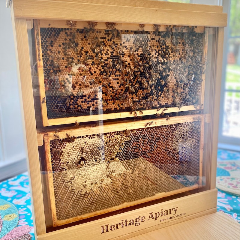 Bee Hive Plans - Etsy