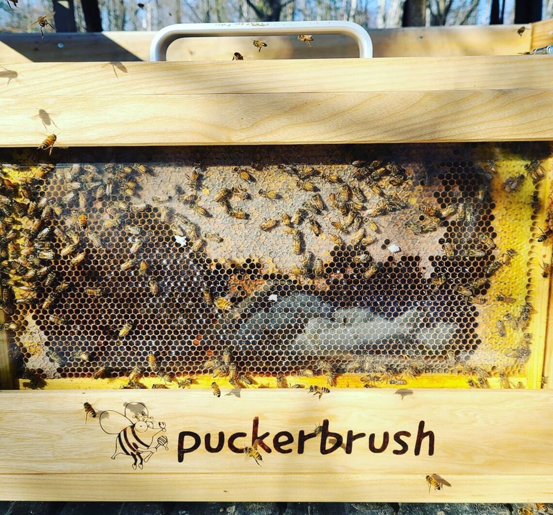 Observation Hive / Bee Hive / Apiary - Etsy