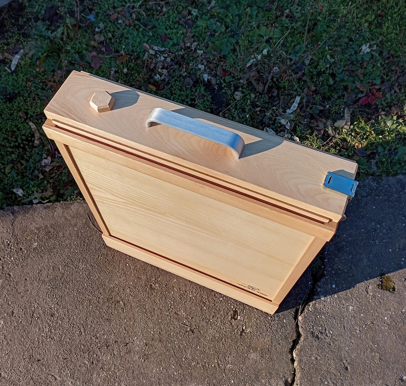 Observation Hive, 4-frame Nuc Apiary Bee Hive for Classroom, Urban ...