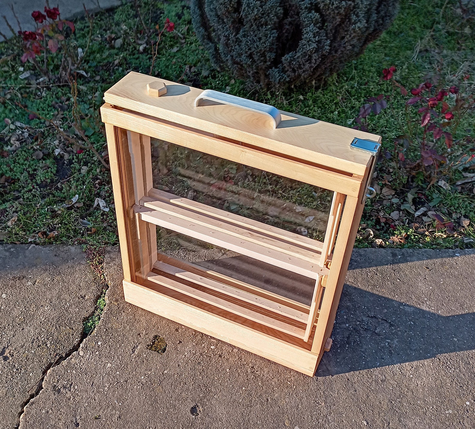 Observation Hive, 4-frame Nuc Apiary Bee Hive for Classroom, Urban ...