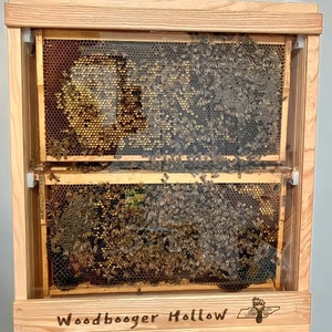 Observation Hive, 4-frame Nuc Apiary Bee Hive for Classroom, Urban ...