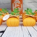 Thanksgiving Pumpkin Treat Boxes,thanksgiving Party Favors,thanksgiving ...