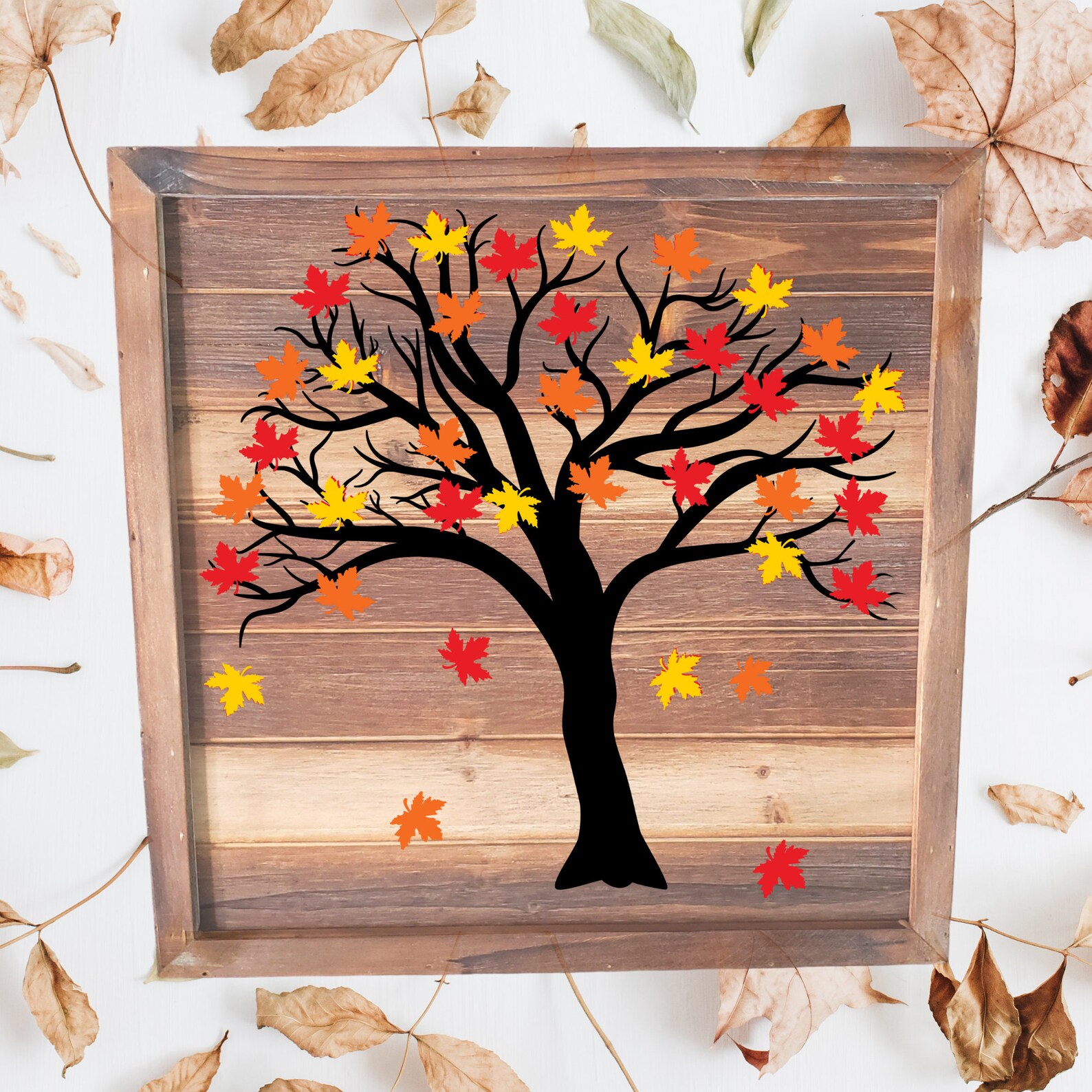 Fall Tree SVG Maple Tree Svg Autumn Tree Svg Autumn SVG - Etsy