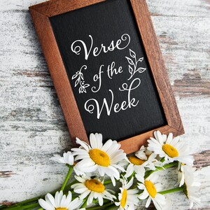 Verse of the Week SVG - Bible Verse Memory Work SVG - Verse of the Week ...