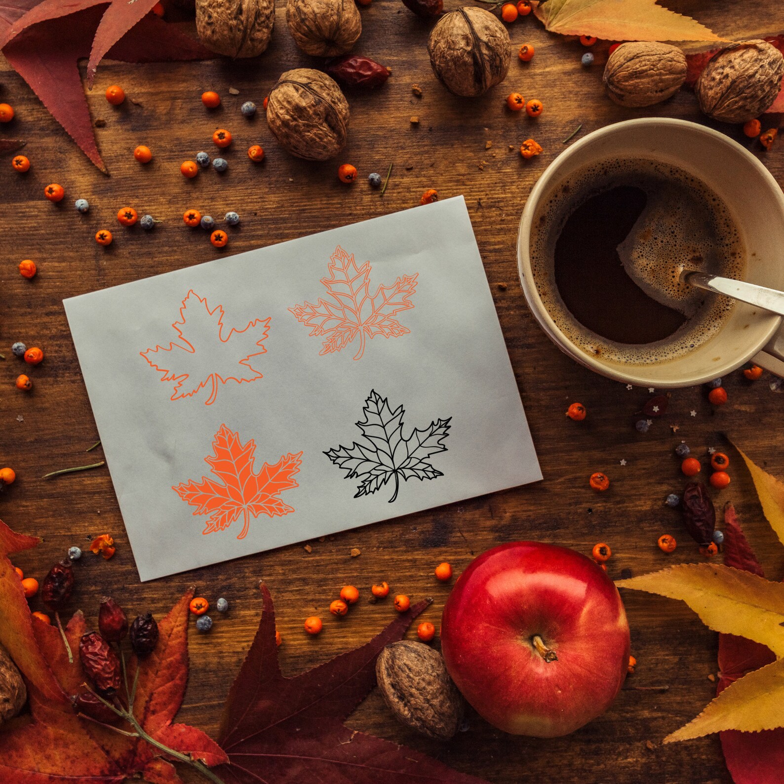 Maple Tree Leaf SVG - Maple Leaf Outline - Autumn Leaf - Autumn SVG ...