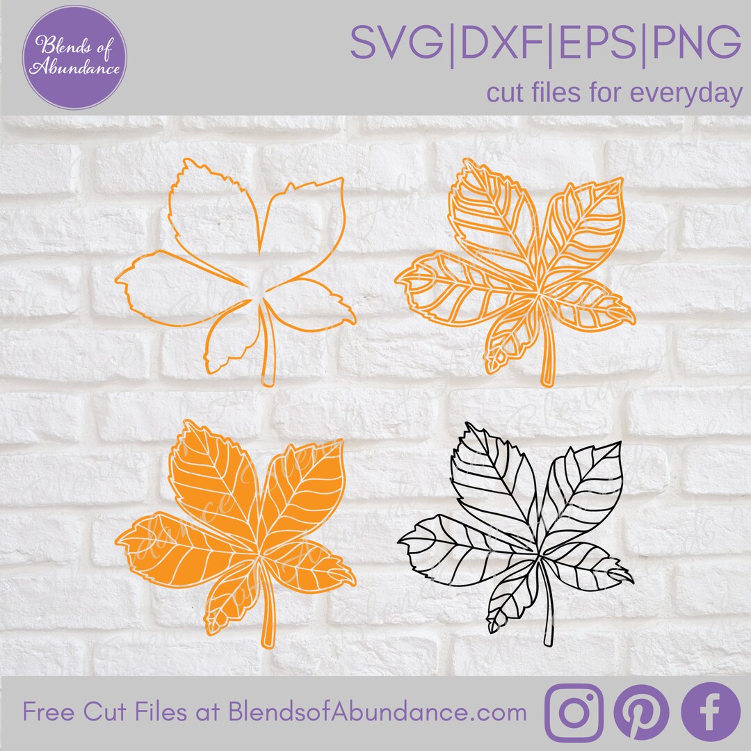 Leaf SVG - Chestnut Leaf SVG - Chestnut Leaf Outline - Autumn Leaf ...