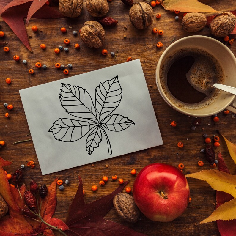 Leaf SVG Chestnut Leaf SVG Chestnut Leaf Outline Autumn - Etsy