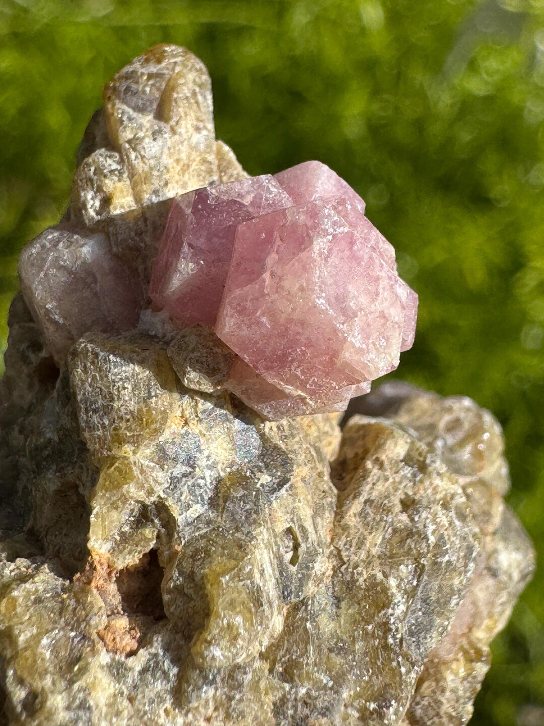 Grossular Pink Garnet on Matrix From Sierra De Cruces Region in ...