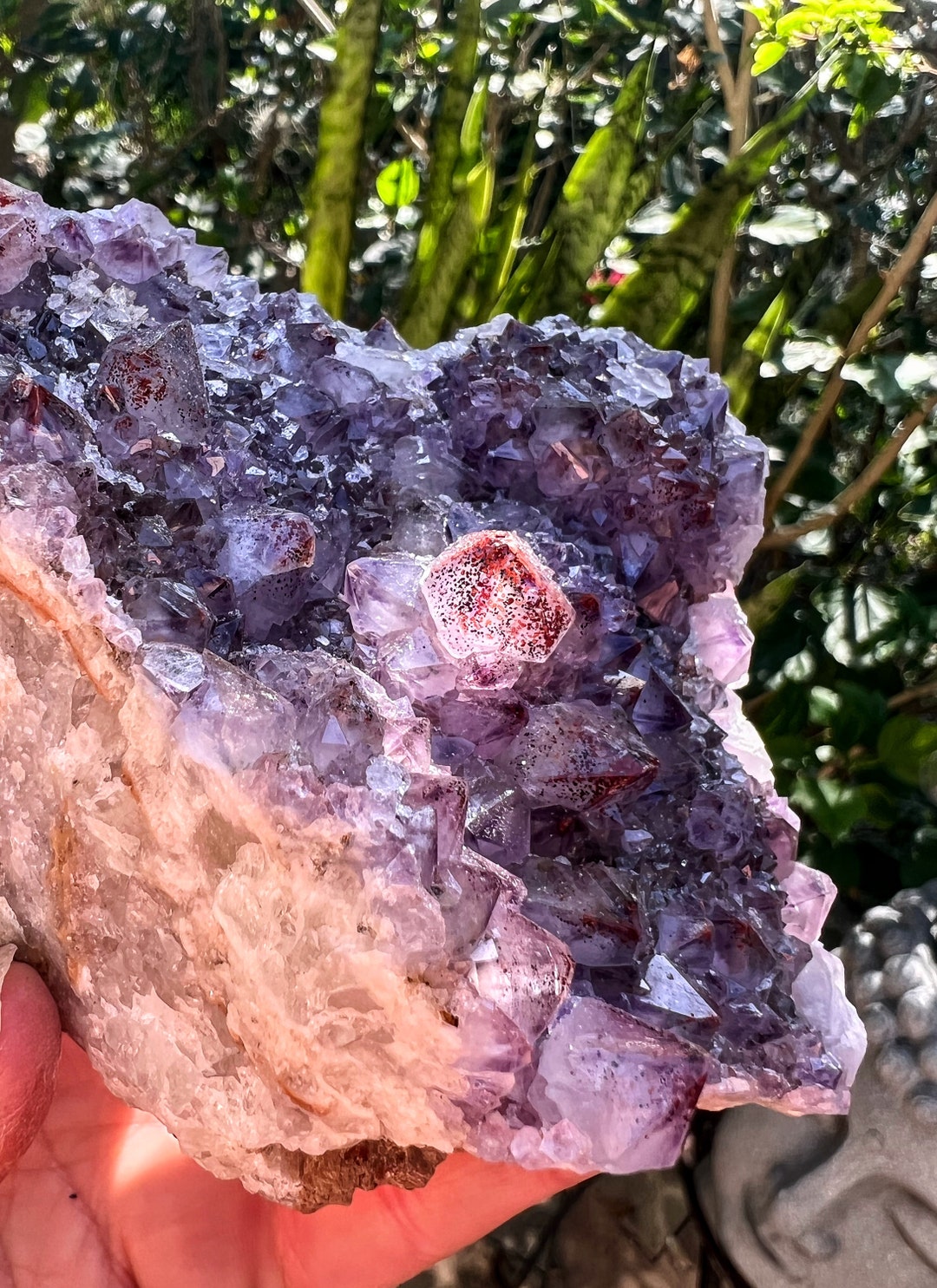 Premium Grade Thunder Bay Amethyst From Moonlight Mine, Thunder Bay ...