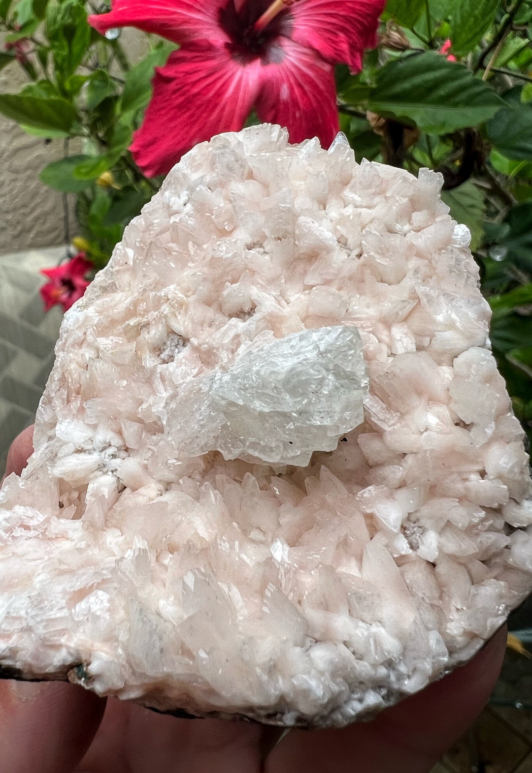 Rare Zeolite Specimen With Apophyllite Flower in the Center - Etsy
