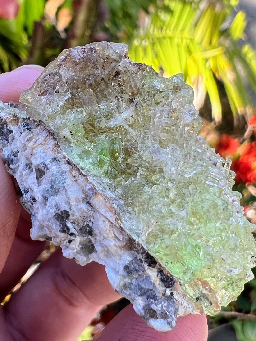 Hyalite Opal Specimen From Erongo, Namibia - Etsy