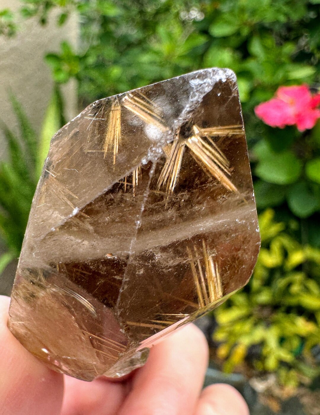 Rutilated Quartz Freeform, Golden Rutile Quartz, Crystal Gift, Crystal ...