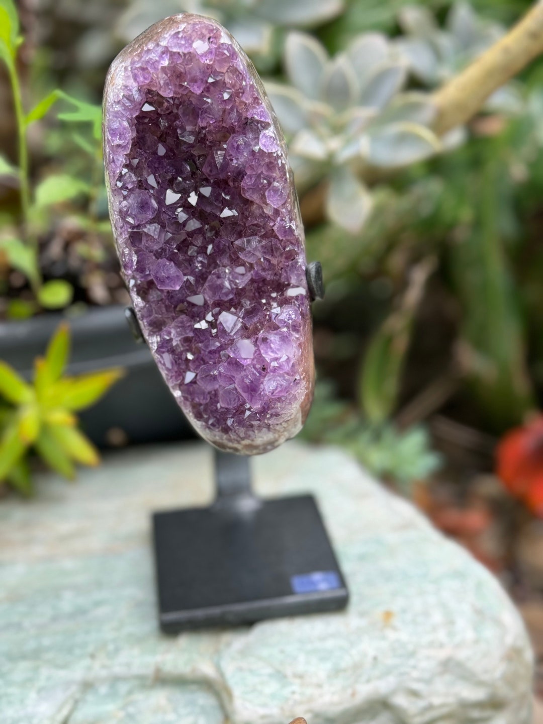 Amethyst With Pink Hematite Geode With Polished Edges on Iron Stand ...