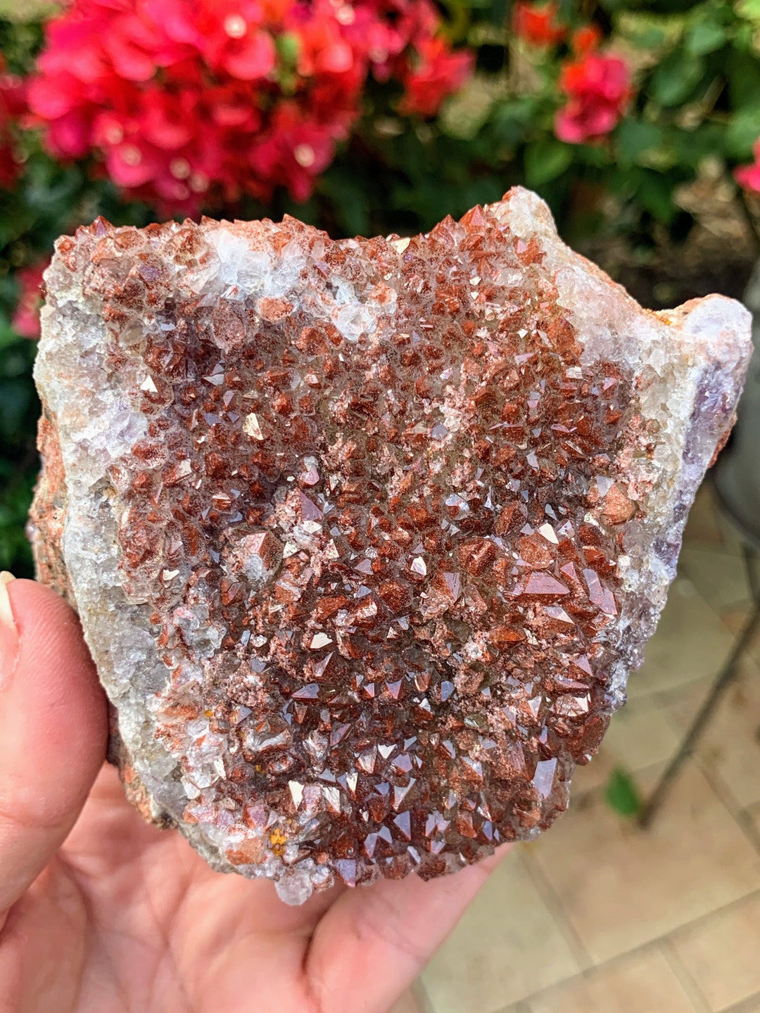 Thunder Bay Amethyst Cluster /red Cap Amethyst From Moonlight Mine ...