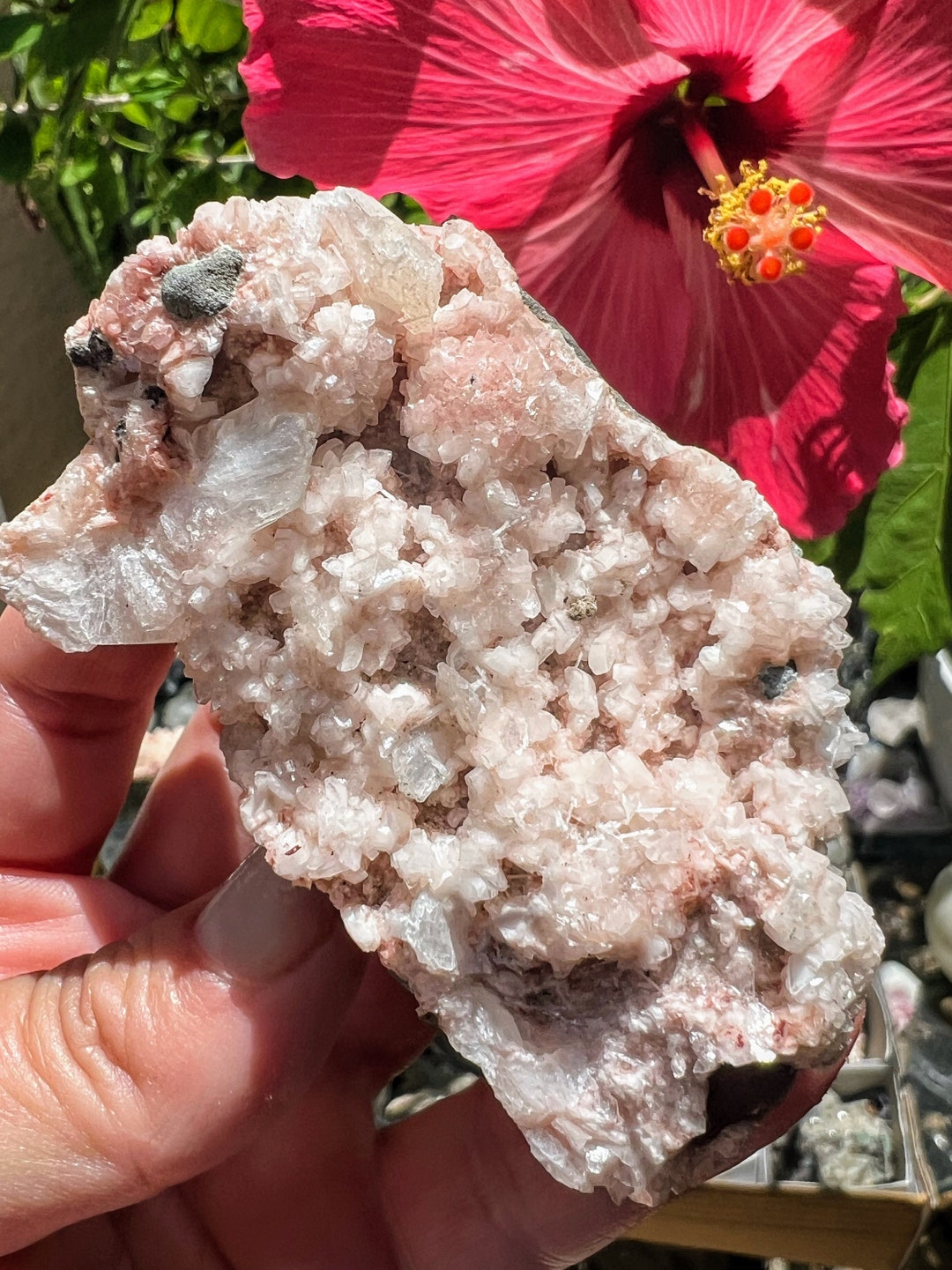 Zeolite Specimen, Peach Stilbite on Matrix From India - Etsy