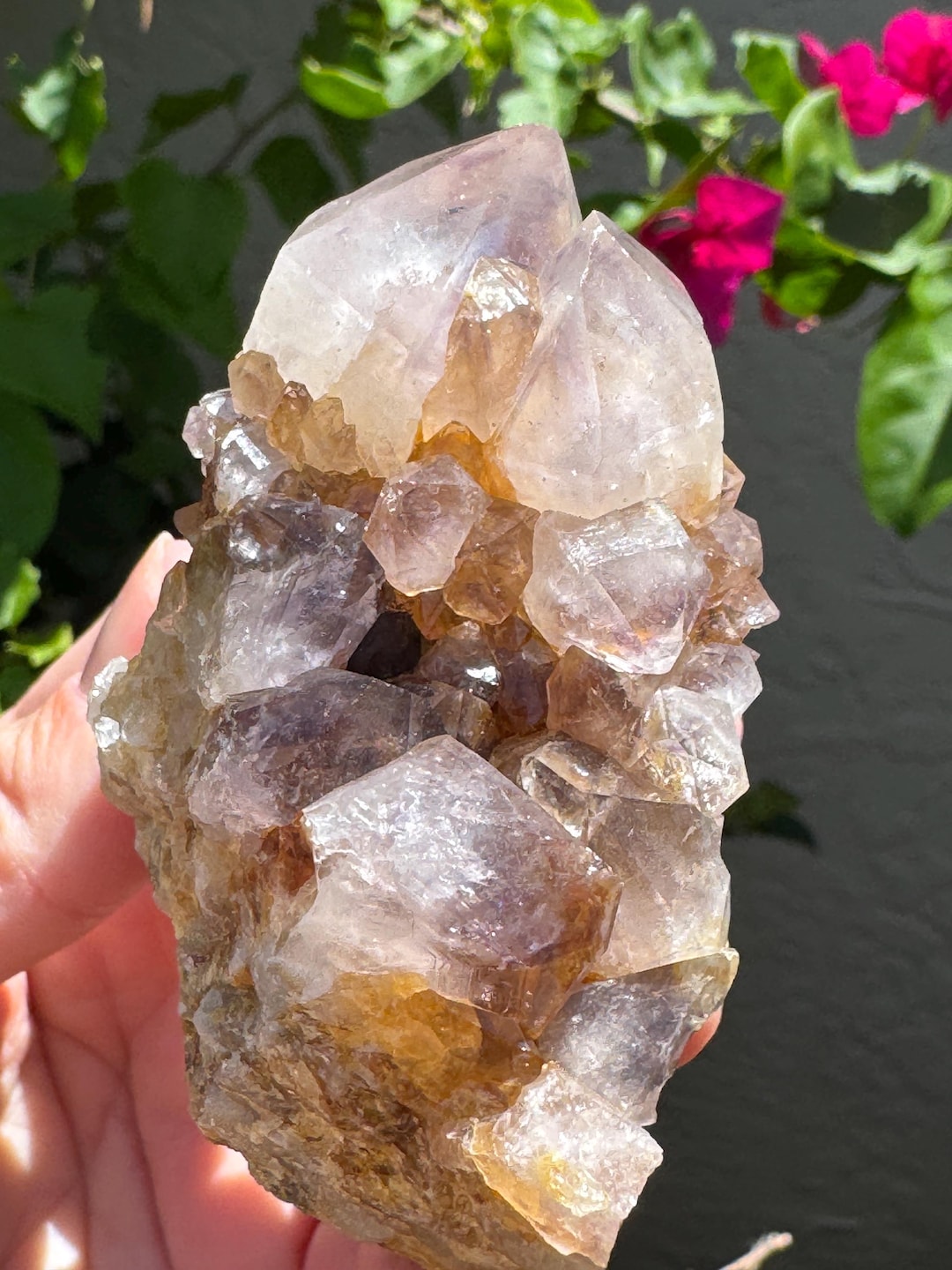 Lustrous Spirit Quartz Cluster With Ametrine Phantoms From South Africa ...