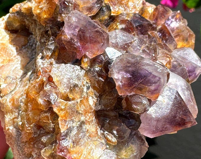 Lustrous Spirit Quartz Cluster With Ametrine Phantoms From South Africa ...