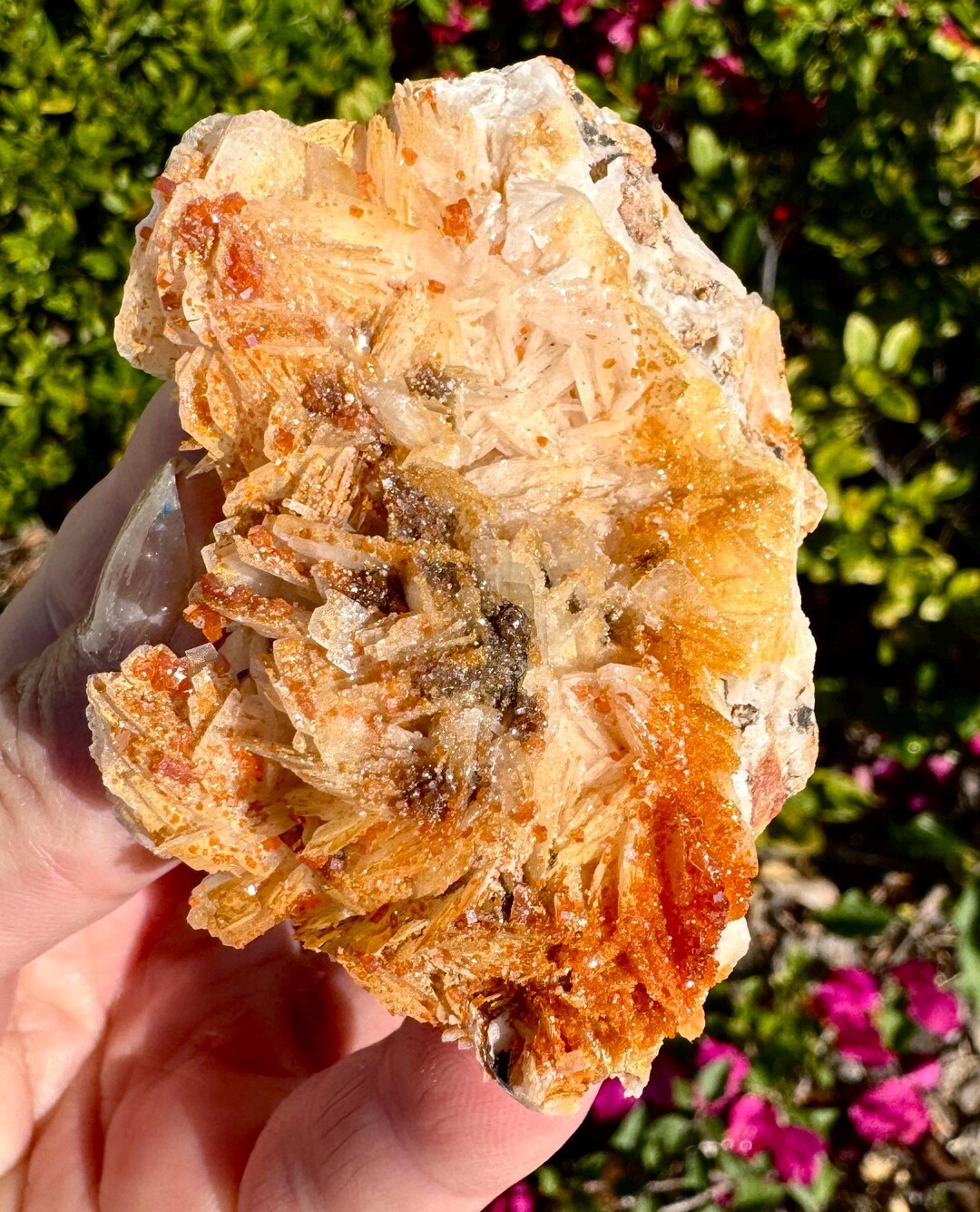 Super Lustrous Two Sided Vanadanite on Peach Velvety Barite From ...