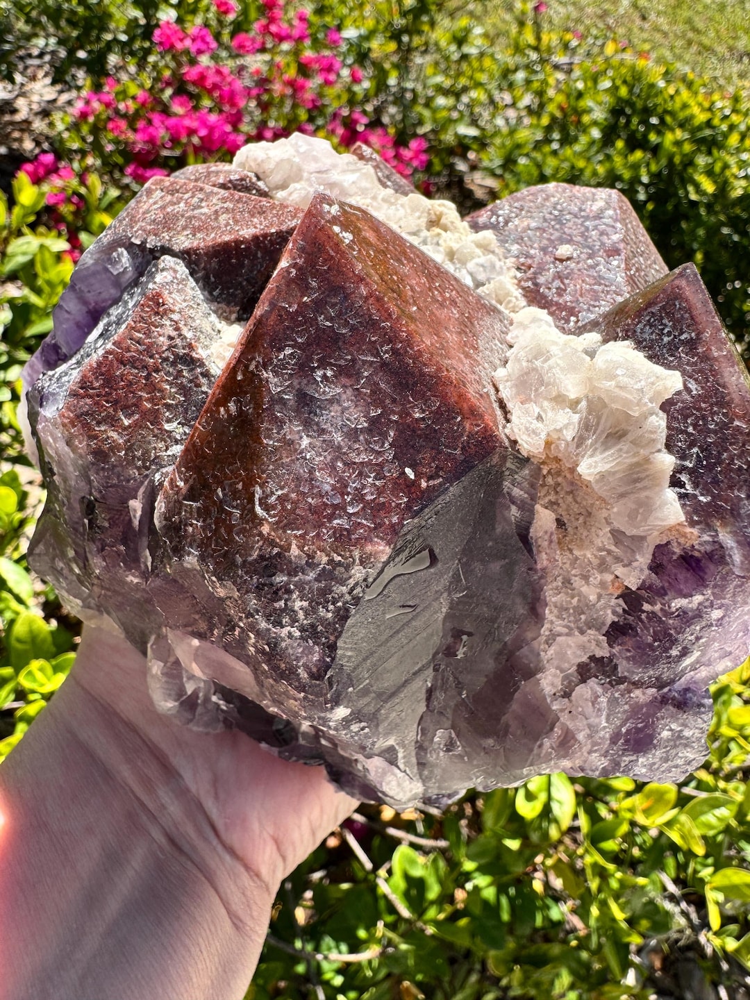 XXL Massive Raw Thunder Bay Amethyst Cluster From Ontario, Canada , Red ...