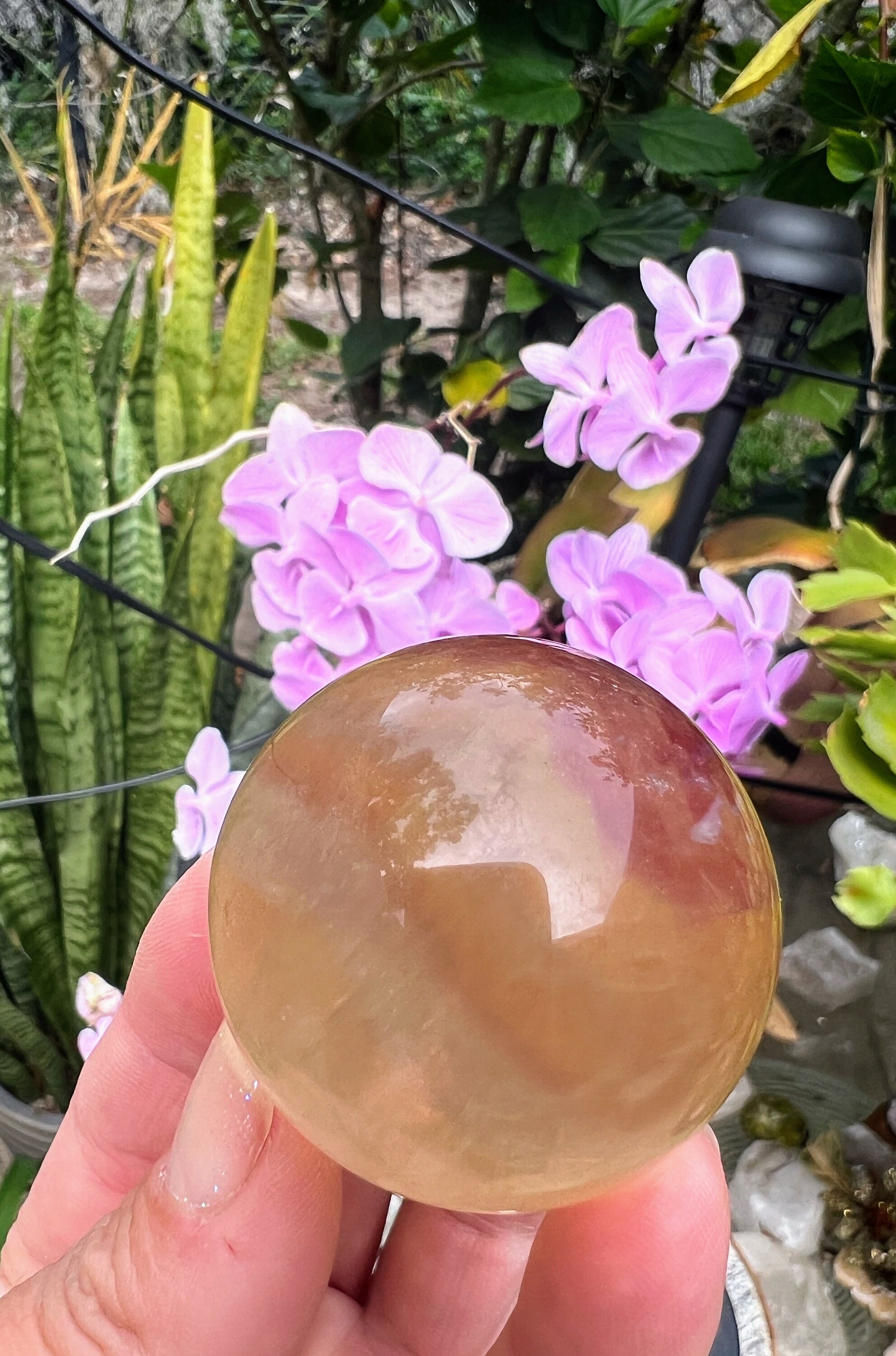 Candy Fluorite Sphere, Yellow Fluorite Sphere 40mm - Etsy
