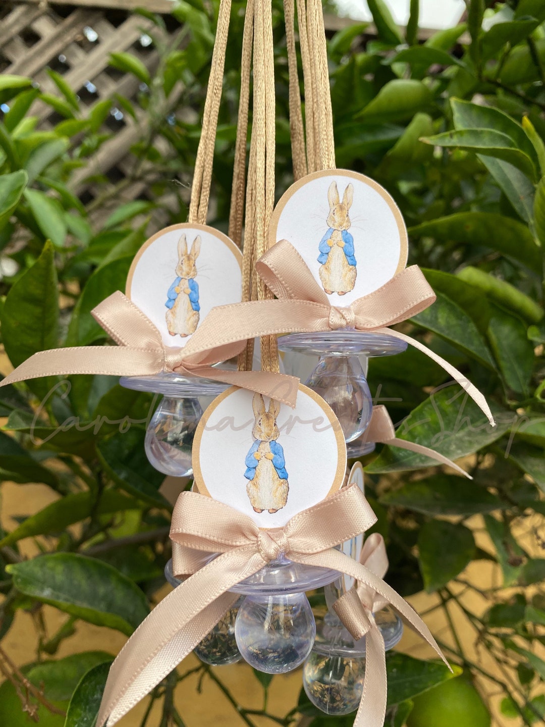 12 Peter Rabbit Baby Shower Pacifier Necklace Favors| Baby Shower Games ...