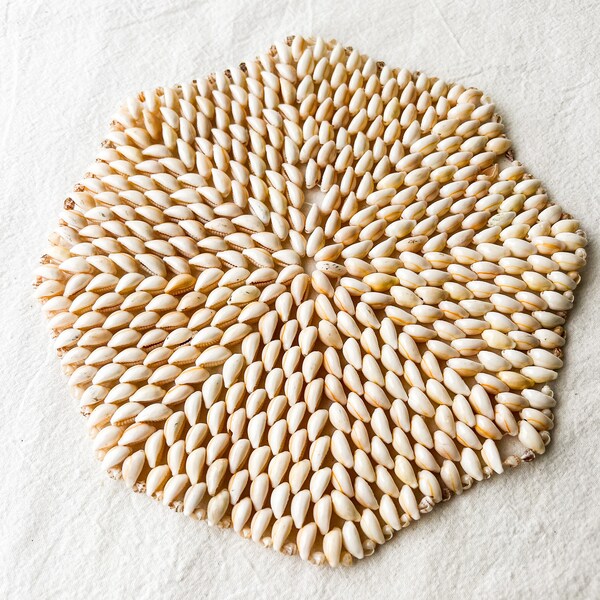 Cowrie Shell - Etsy Australia