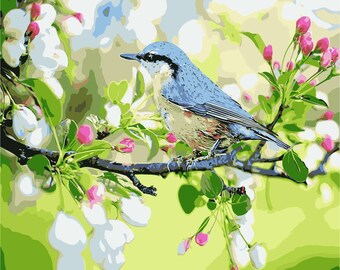 Bird Paint by Number | Etsy