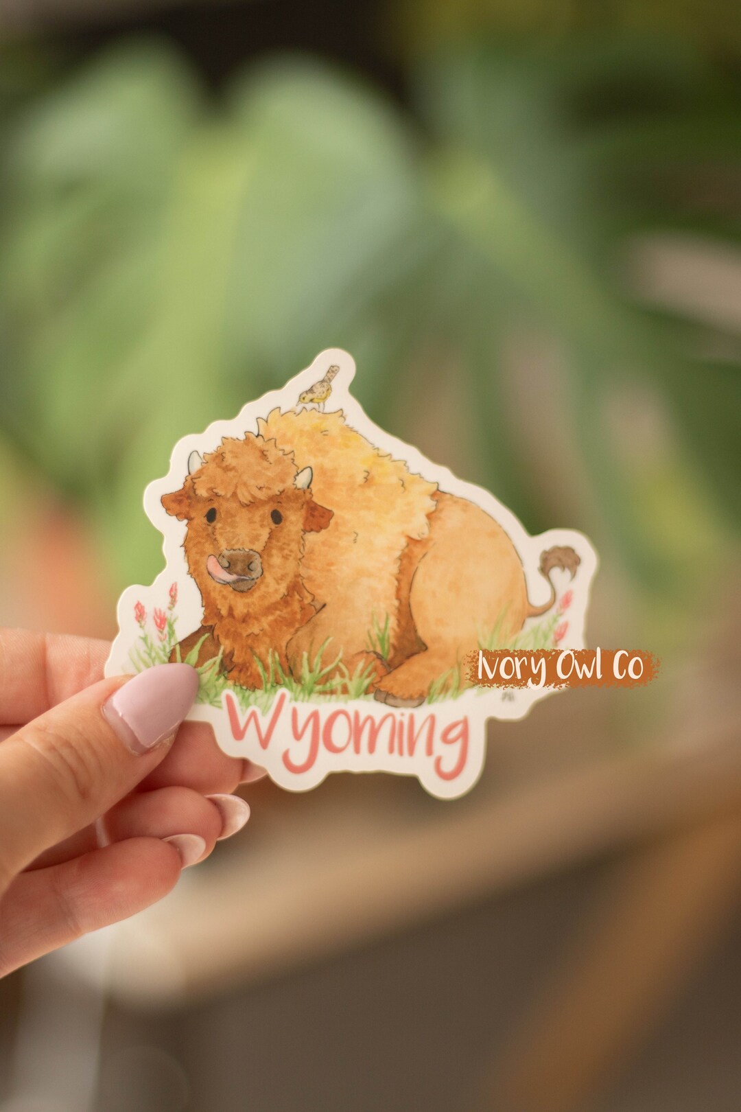 Wyoming Bison Sticker - Etsy