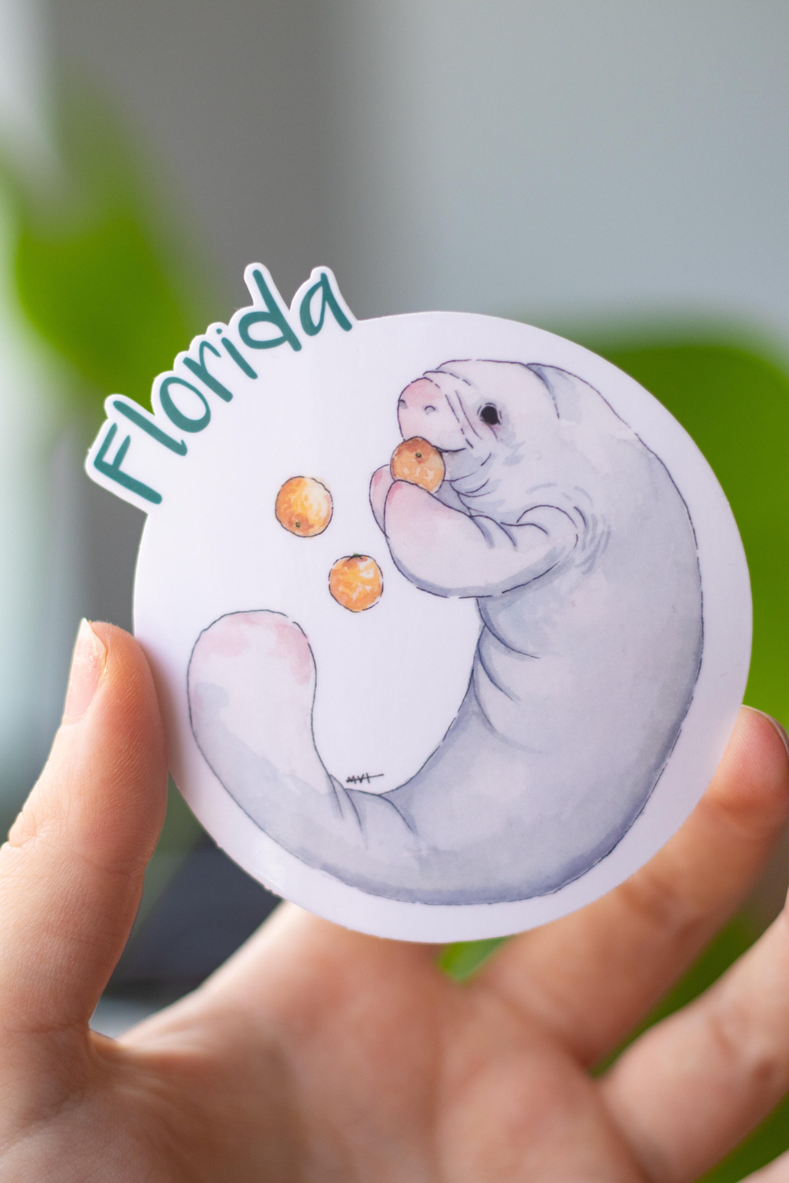 Florida Manatee Sticker | Etsy