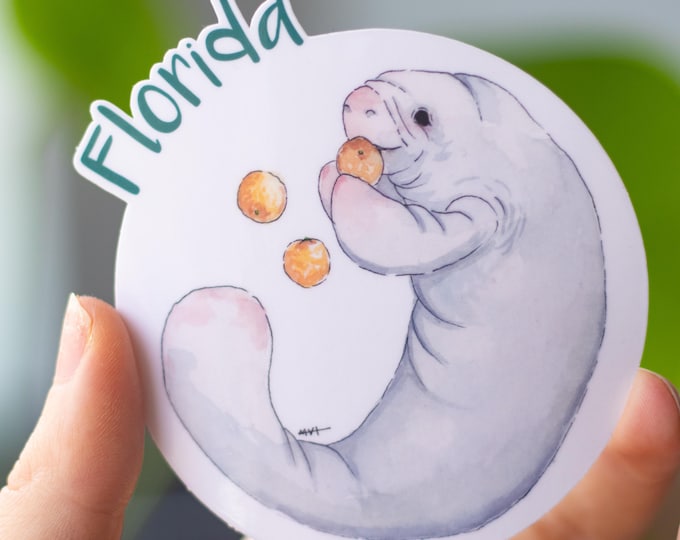 Florida Manatee Sticker | Etsy
