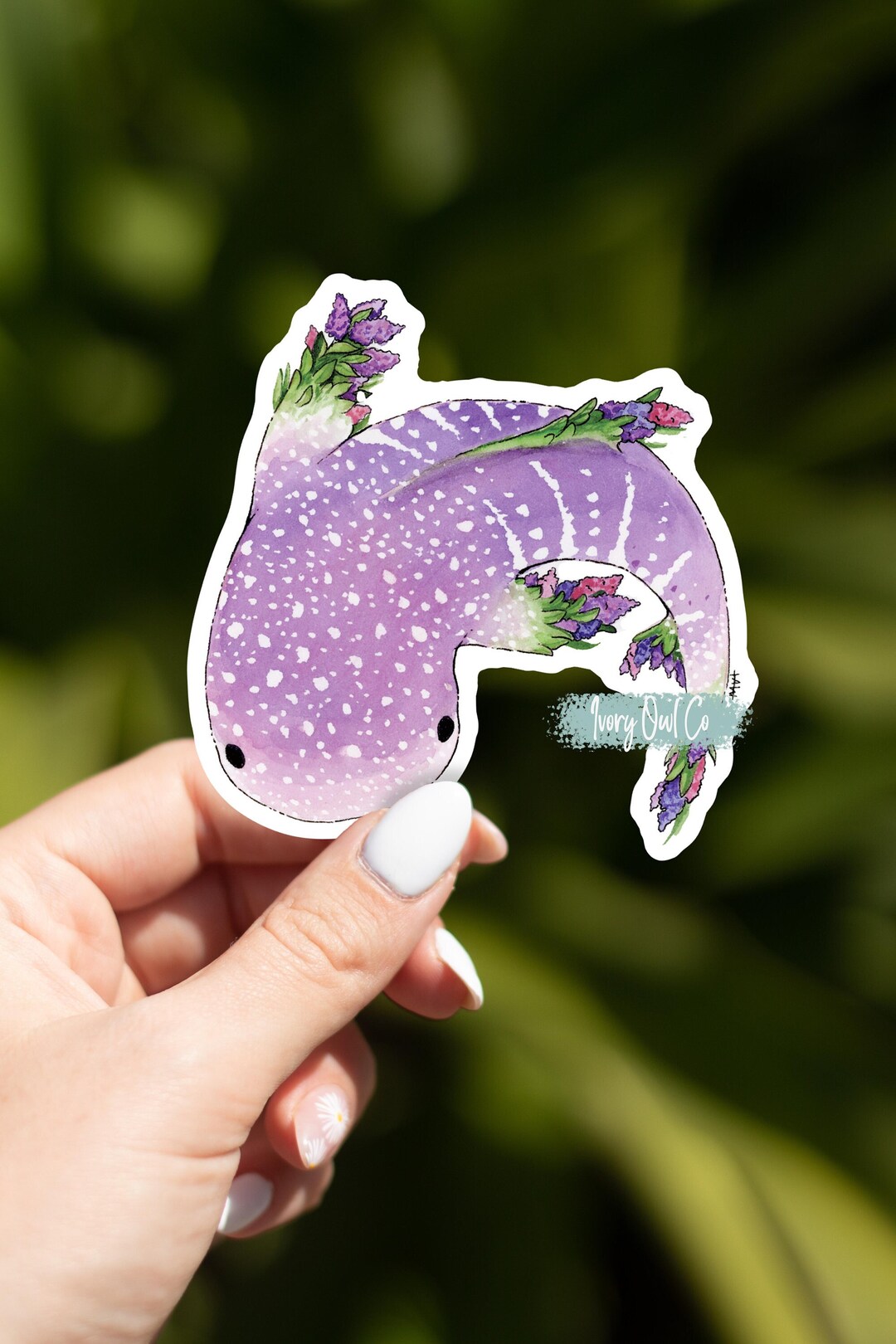 Lilac Whale Shark Sticker - Etsy