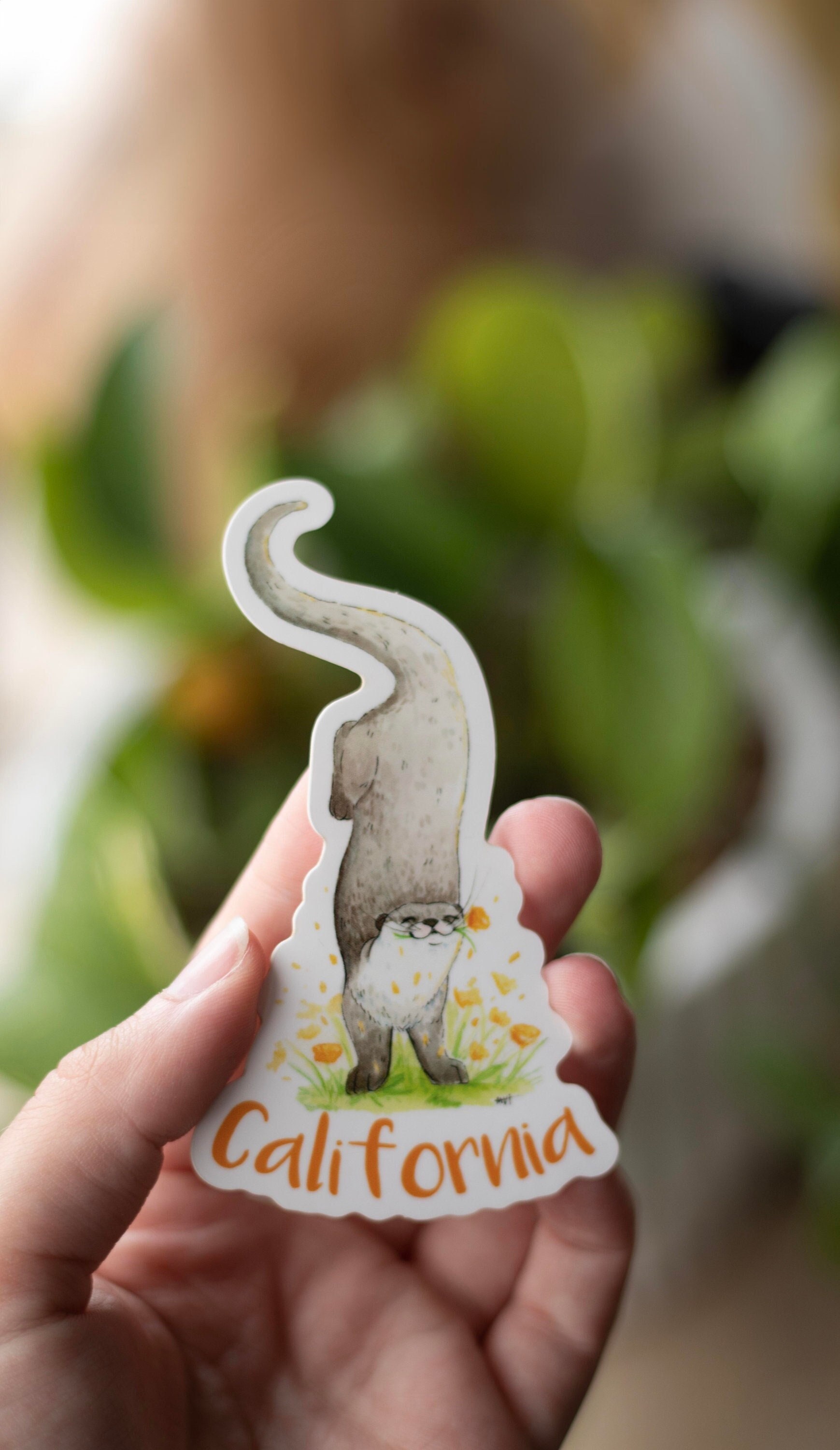 California Otter Sticker - Etsy