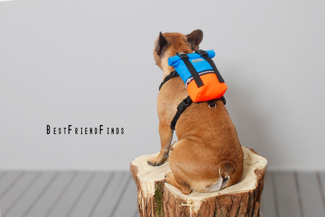 Dog Backpack Harness, Dog Harness, Custom Dog Harness by ...