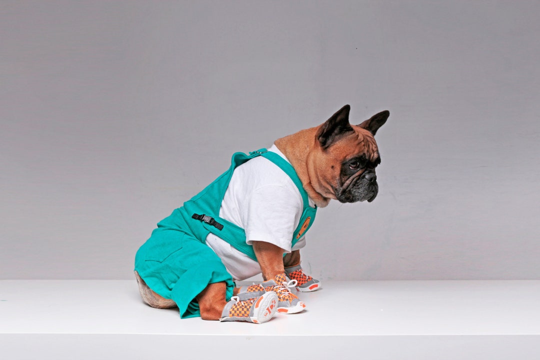 French Bulldog Pants, Dog Bottom Clothes, Dog Pants, Dog Bib Pants, Dog ...