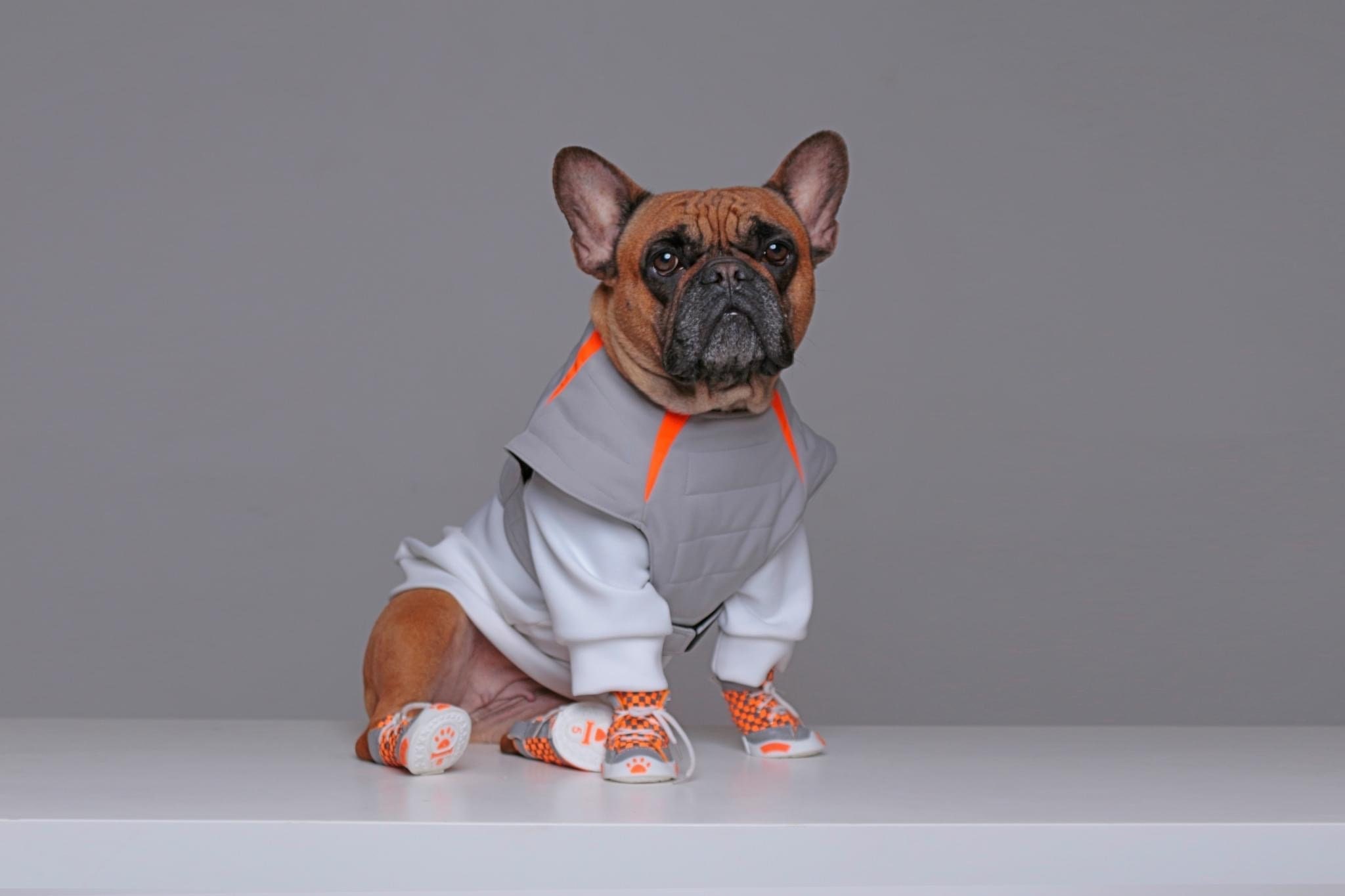 Cyberdog jacket - Etsy 日本 Cyberdog jacket - Etsy 日本