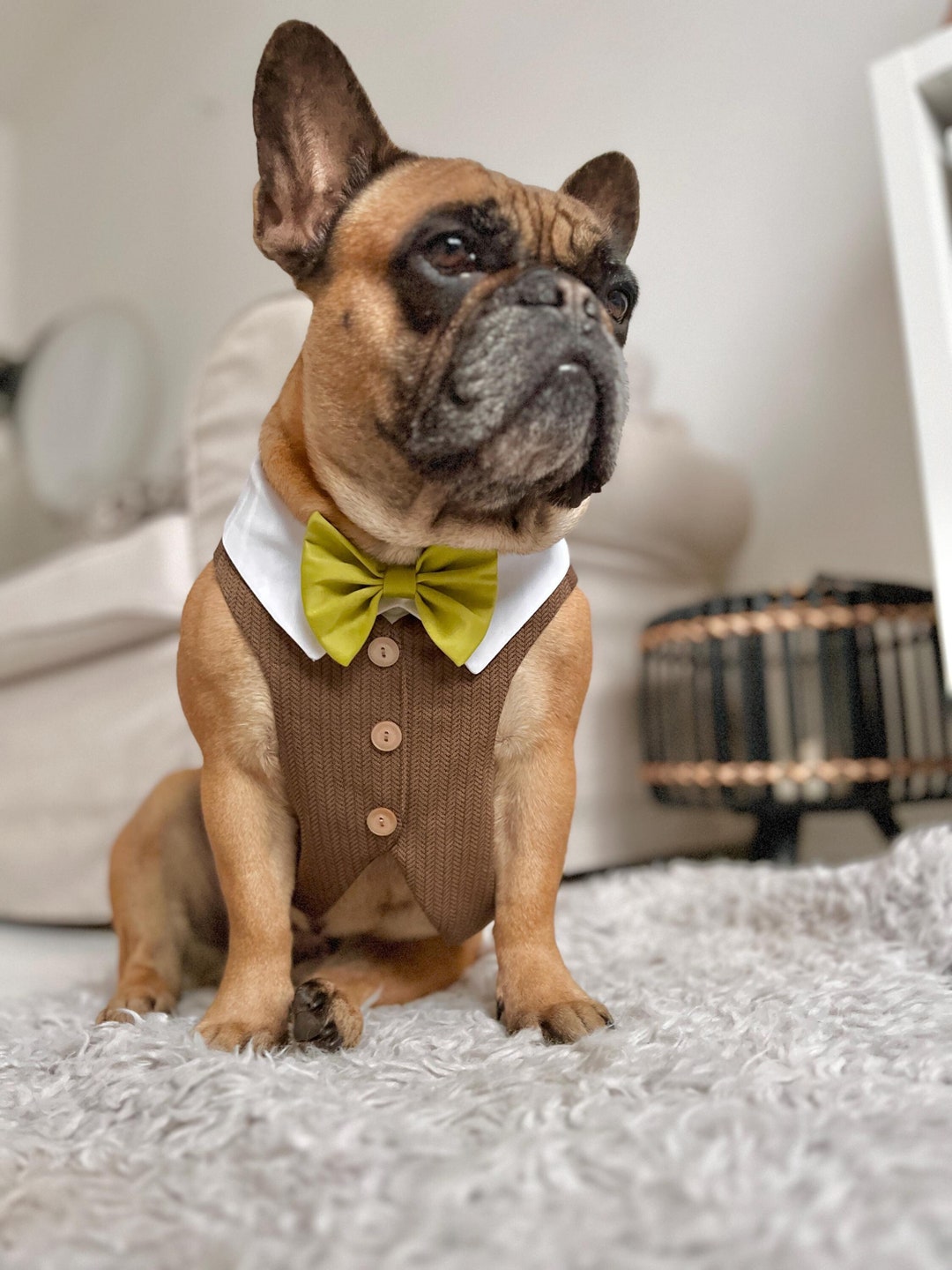 Wedding Dog Suit Vest: French Bulldog Formal Outfit - Etsy