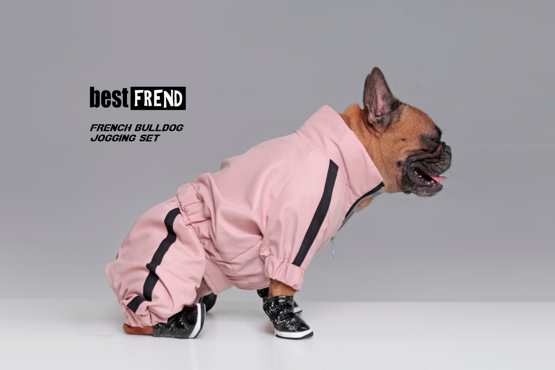 Frenchie Dog Jumpsuit: Velvety Micropeach Sporty Pet Outfit - Etsy