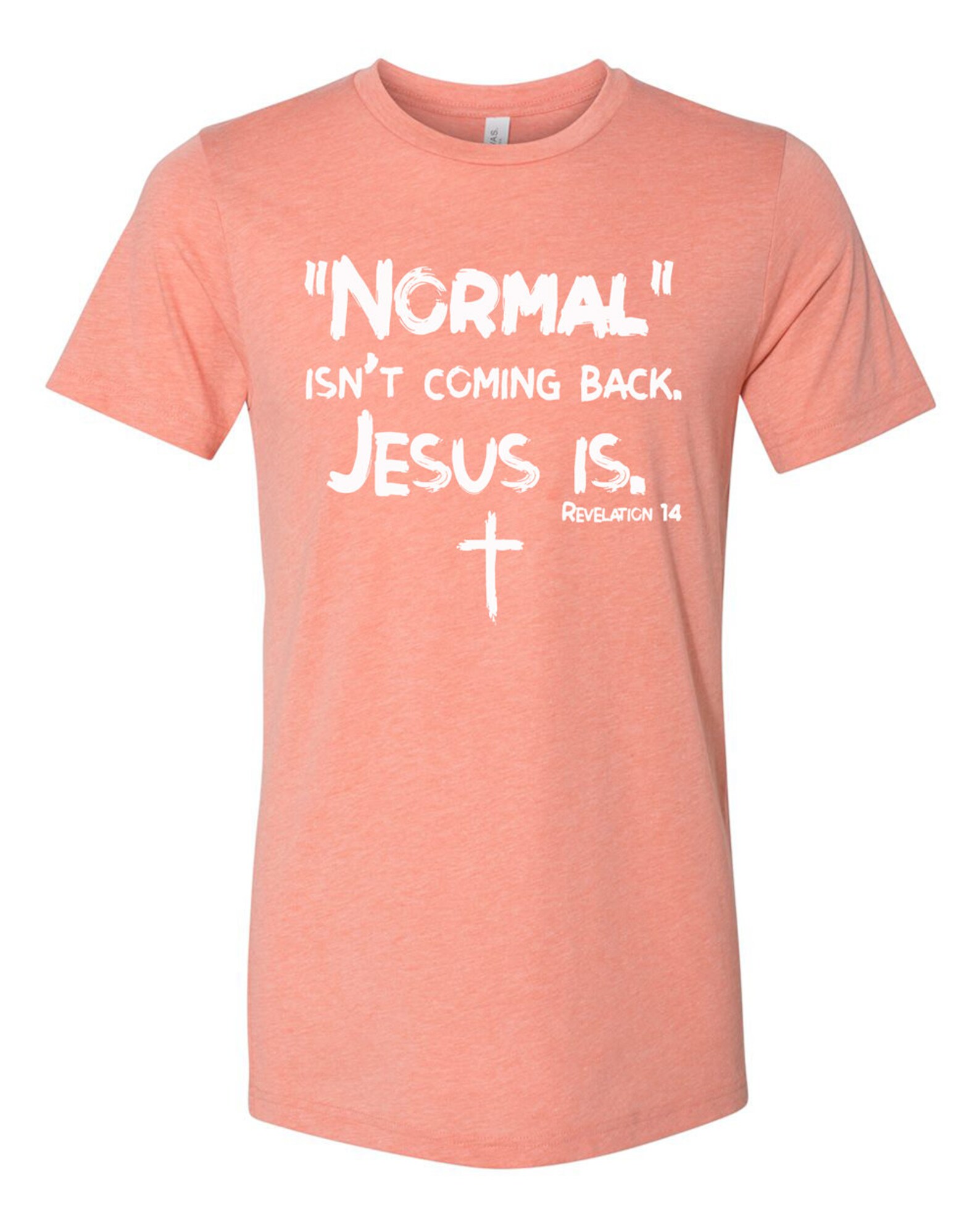 Normal Isn't Coming Back, Jesus is Unisex Tshirt - Etsy