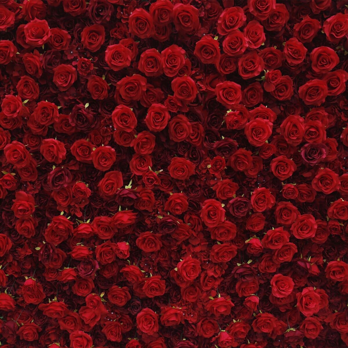 Delivered Duty Paid Full Red Flower Wall Wedding Arrangement Event ...