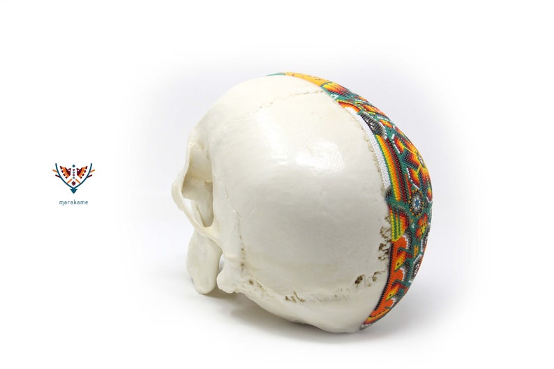 Huichol Art Hyperrealistic Human Cranium Real Scale - Etsy