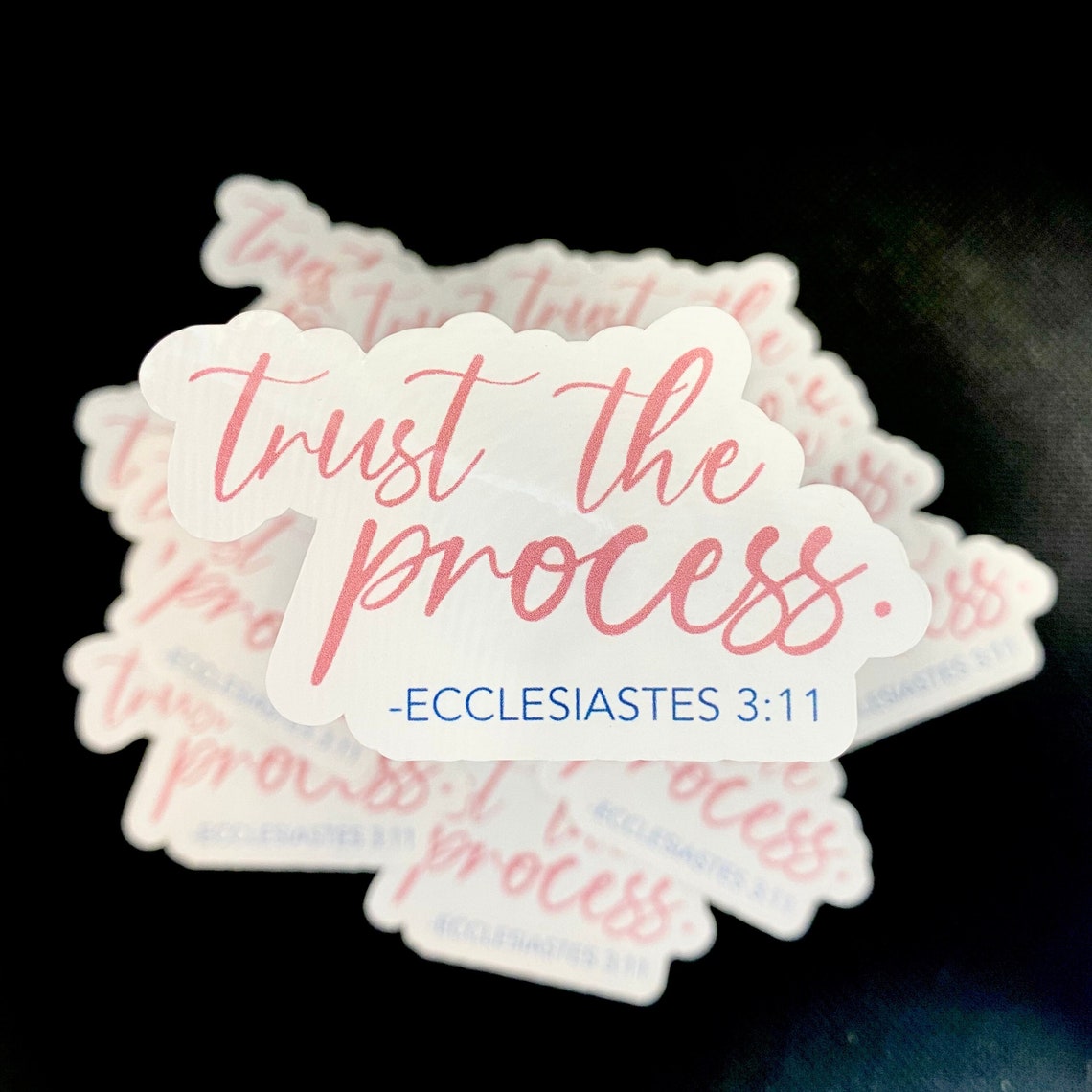 Trust the Process Sticker, Bible Verse Sticker, Christian Sticker ...