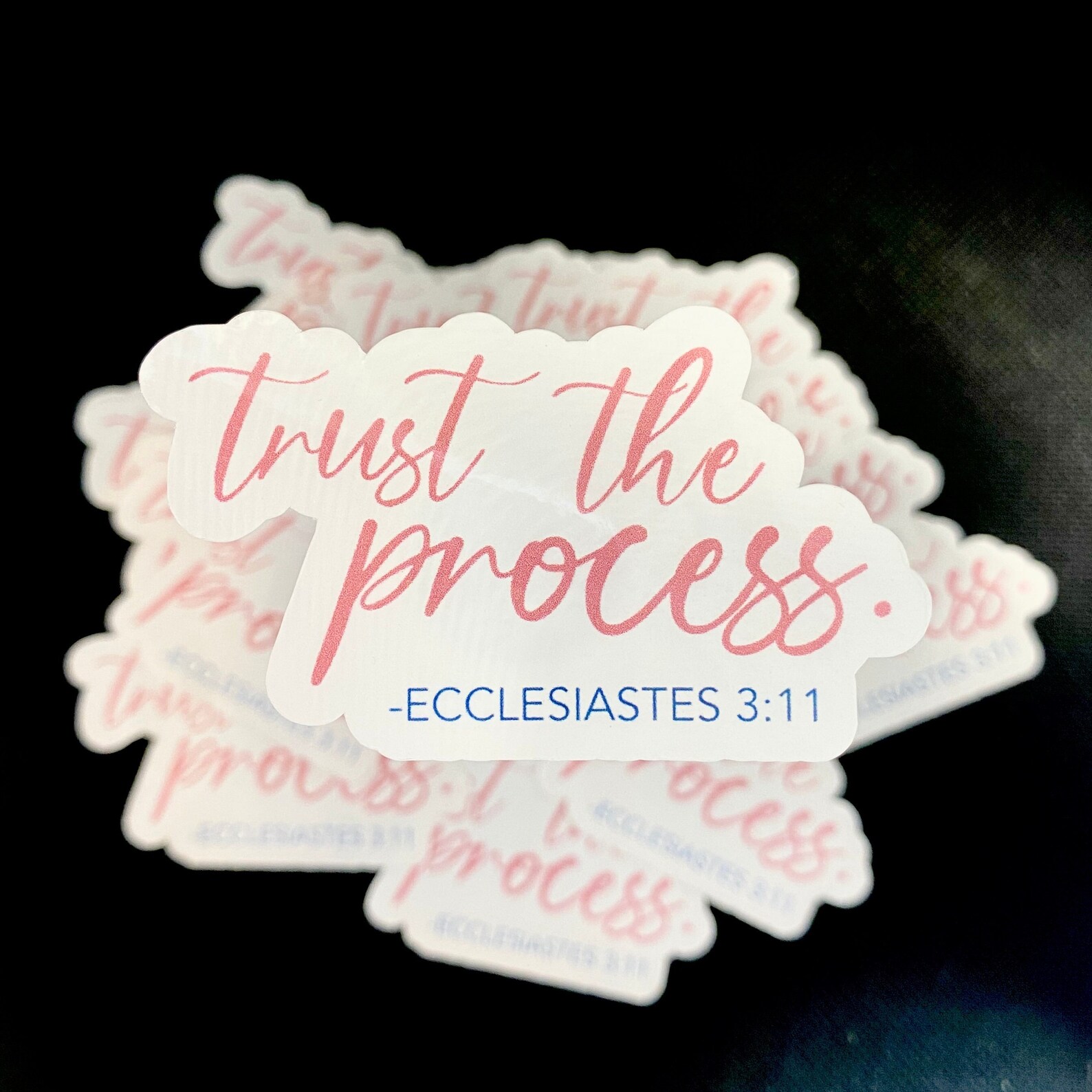 Trust the Process Sticker, Bible Verse Sticker, Christian Sticker ...