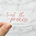 Trust the Process Sticker, Bible Verse Sticker, Christian Sticker ...