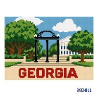 Georgia Peach Stamp Needlepoint Chart PDF - Etsy