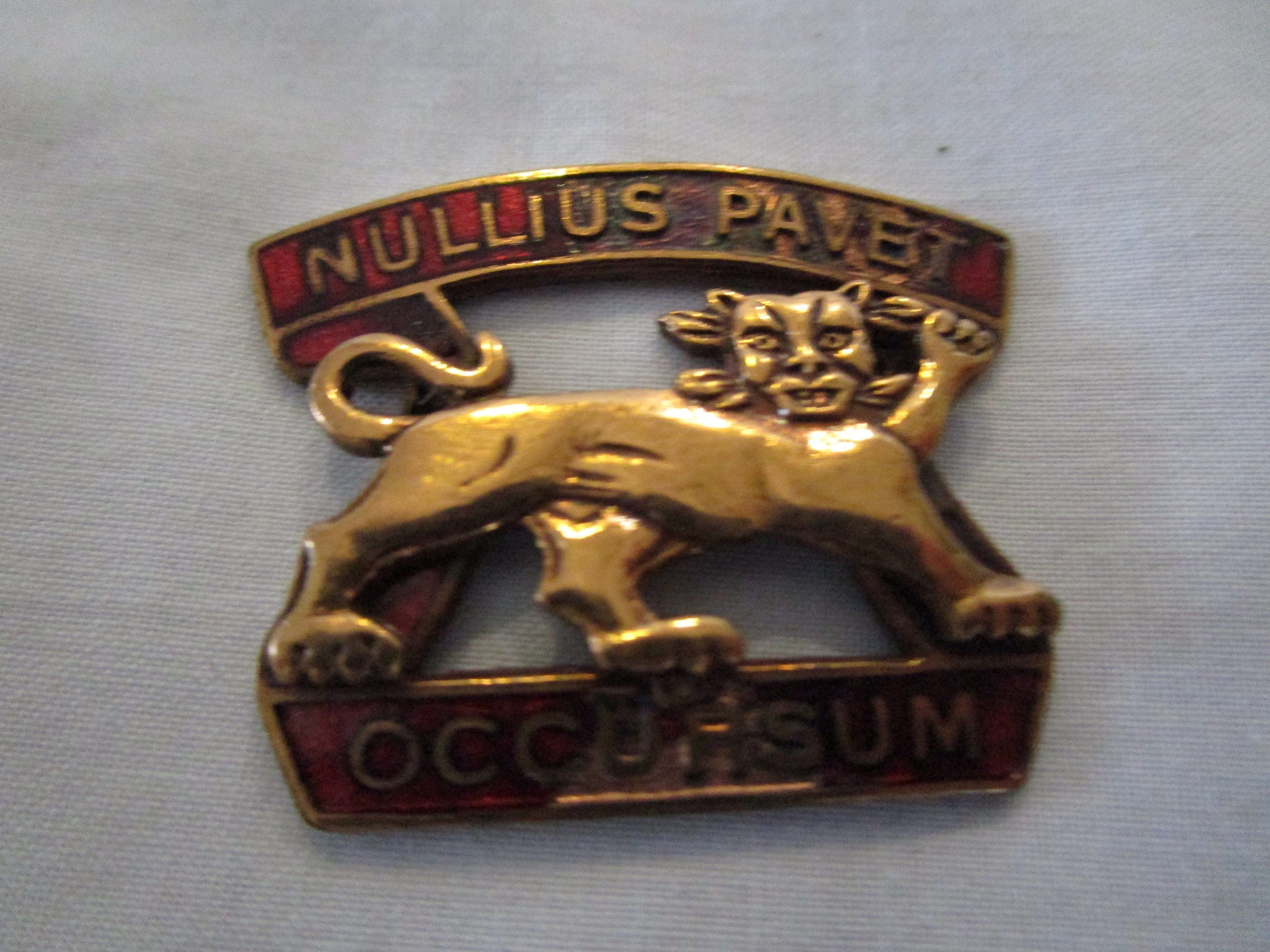 Military Coat of Arms 7th ADA Nullius Pavet Occursum Pinback Unit ...