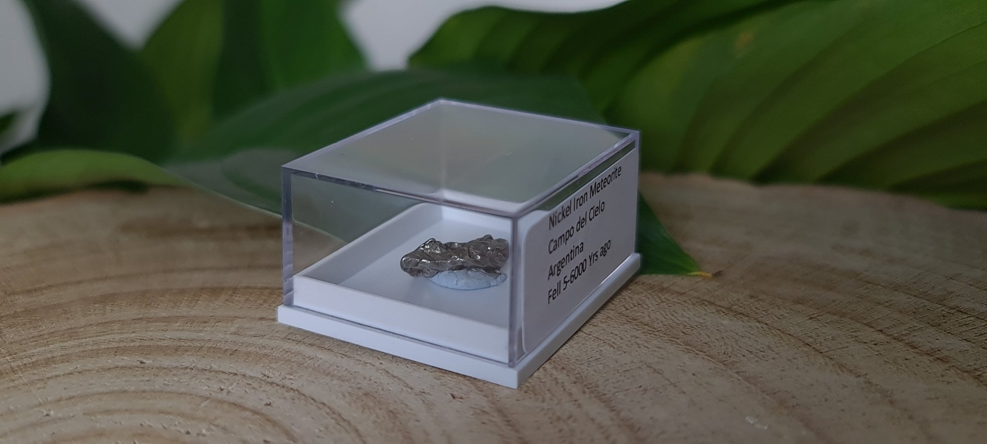 Breaking Bad Tuco Teeth