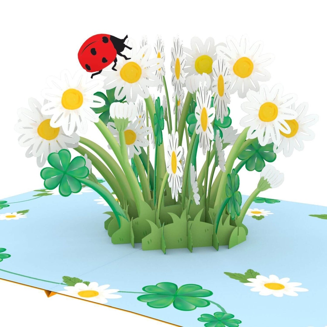 Pop up Card Daisy 3D Birthday Card good Luck & Success, Exam Card, Get ...